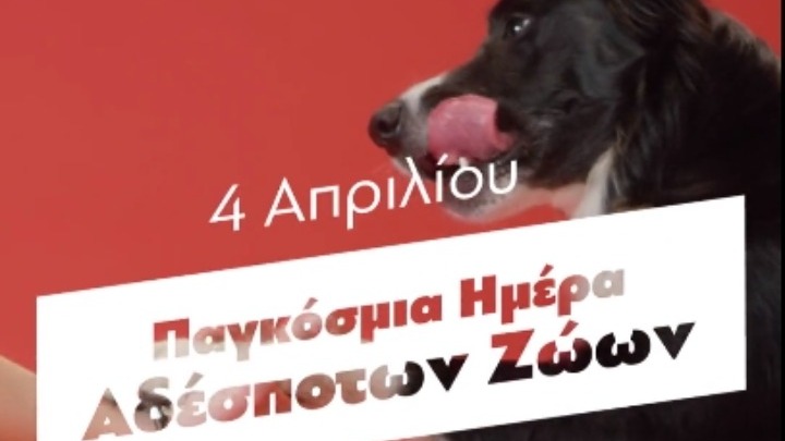 Παγκόσμια ημέρα αδέσποτων ζώων η 4/4."Κανένα ζώο αδέσποτο, κανένα ...