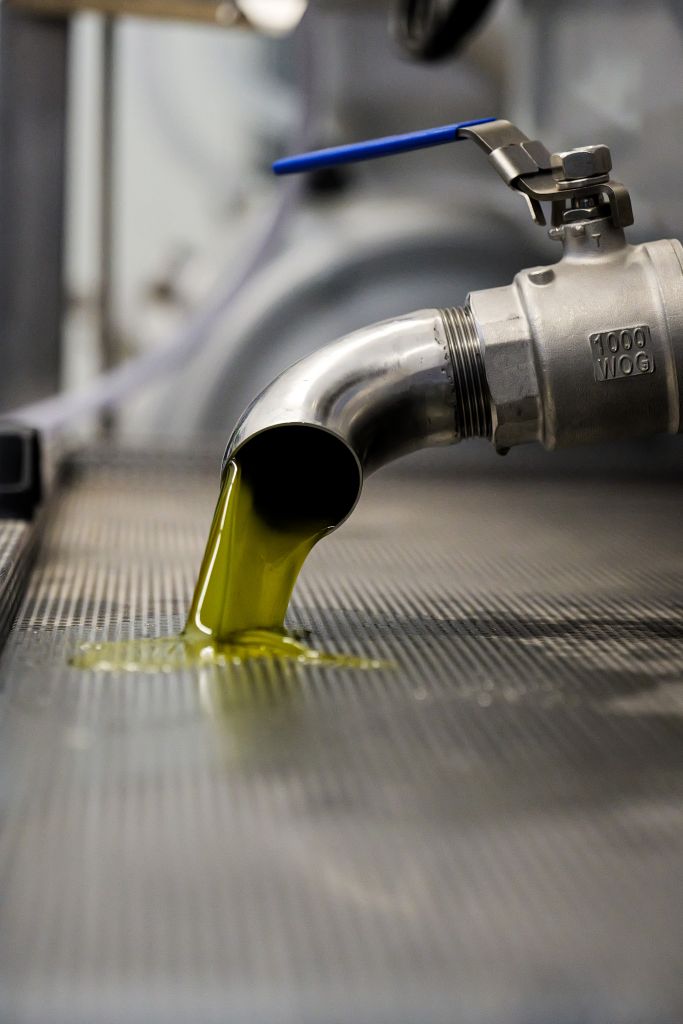 20 ΤΟΝΟΙ Η ΦΕΤΙΝΗ ΠΑΡΑΓΩΓΗ ΕΛΑΙΟΛΑΔΟΥ ΣΤΗ ΣΑΝΤΟΡΙΝΗ ΜΕ ΤΟ 90% ...